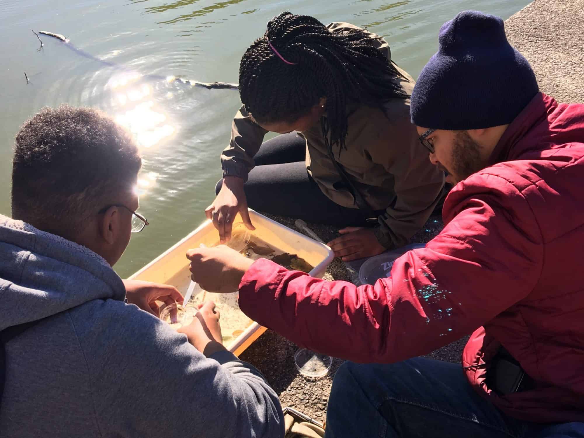 Environmental Adventures - Water, Wishes, and Wildlife! | Project ...