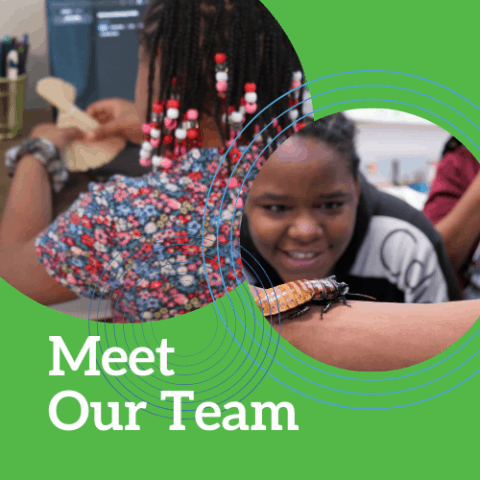 About Project Exploration - Project Exploration